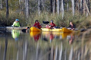 Kayaking Gulf Coast Alabama