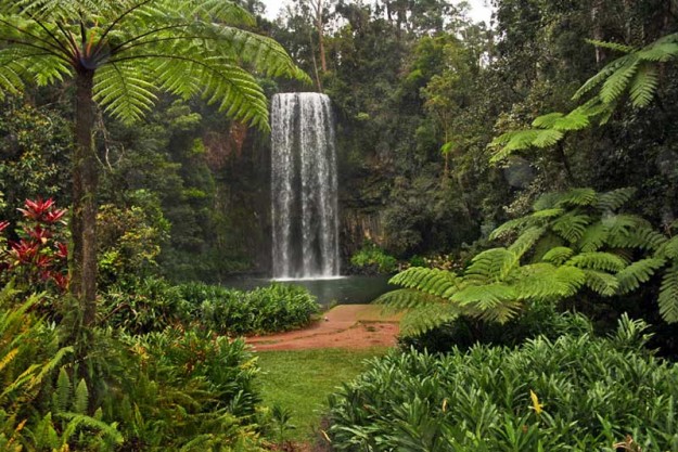 PHOTO: Milla Milla Falls, Atherton Tablelands, Australia