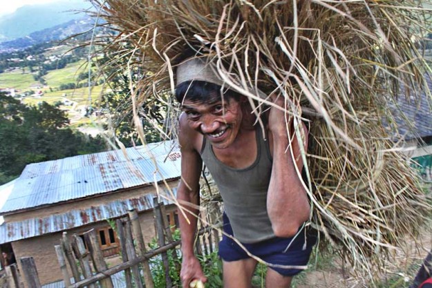 PHOTO: Carrying Hay for the Livestock, Nagarkot, Nepal