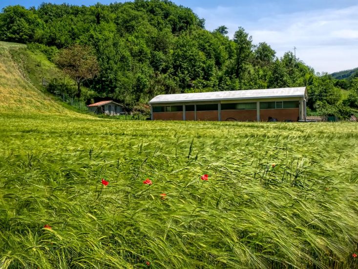 Beautiful Metauro River Valley in the Le Marche Region of Italy