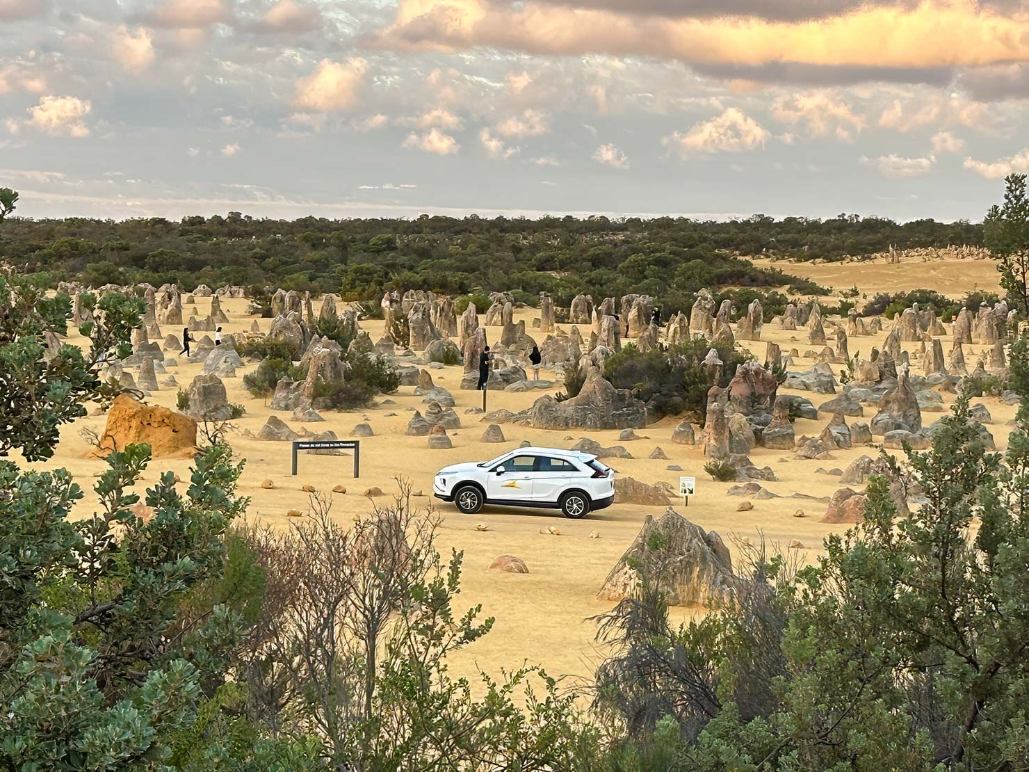 The Pinnacles in Western Australia - Hole in the Donut Cultural Travel