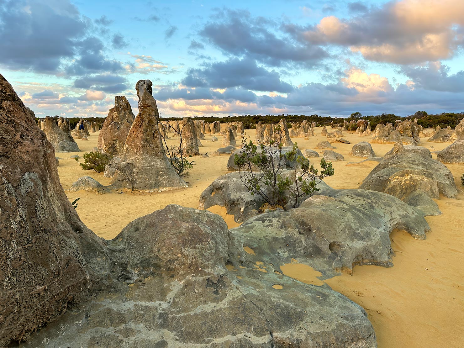 The Pinnacles in Western Australia - Hole in the Donut Cultural Travel